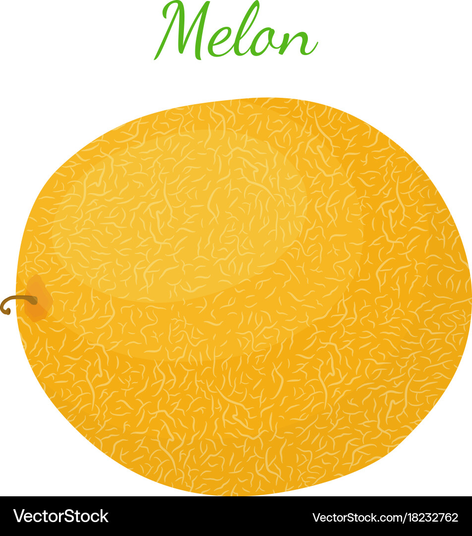 Yellow ripe melon cartoon flat style Royalty Free Vector