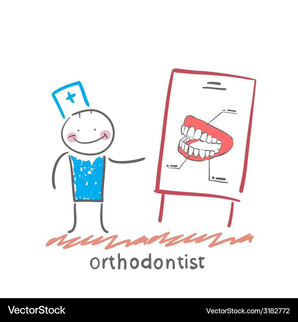 Orthodontist tells presentation about teeth Vector Image