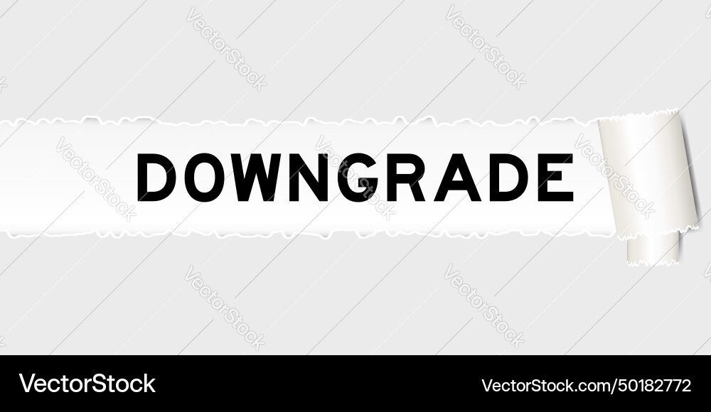 Ripped gray paper background that have word Vector Image