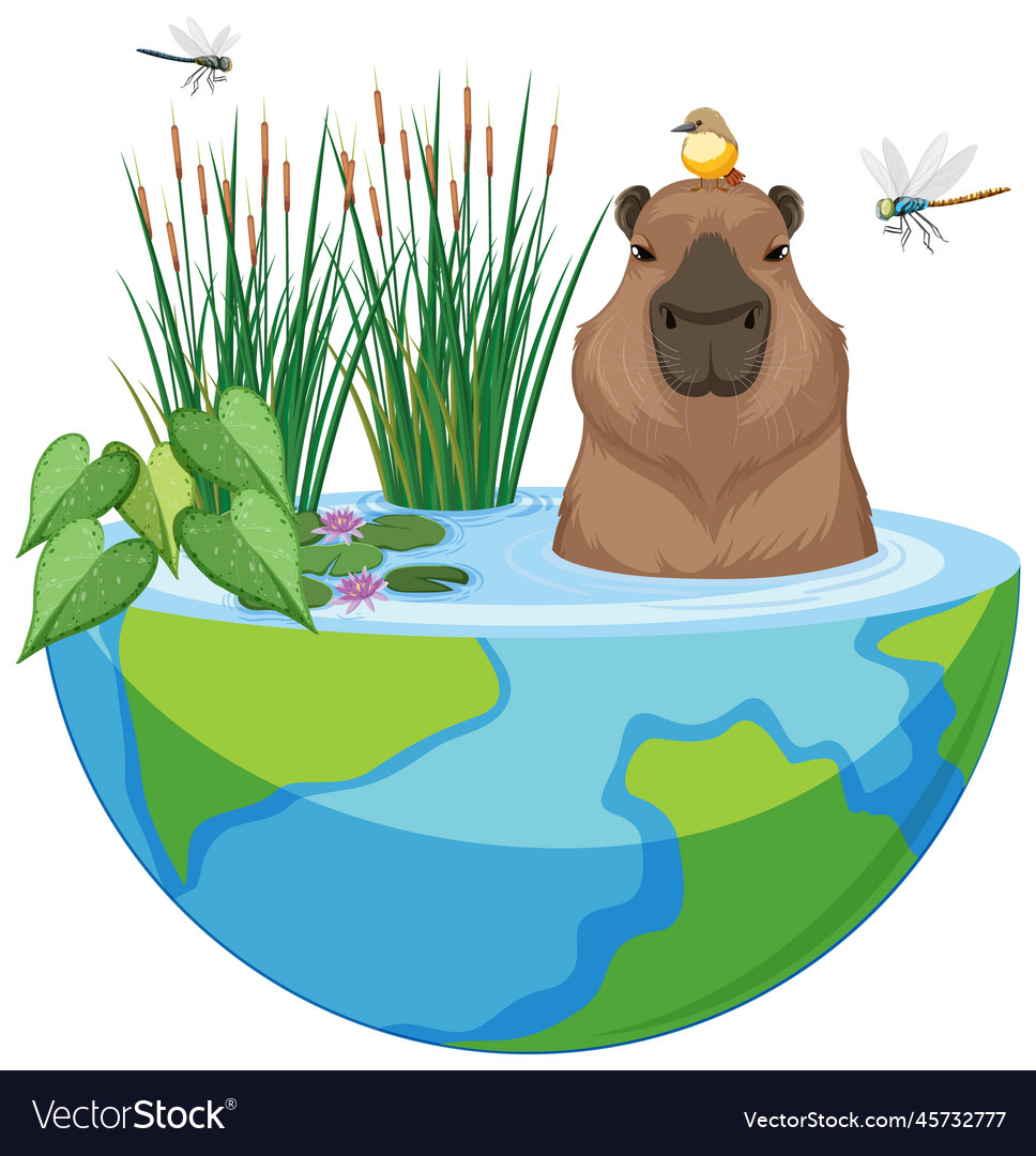 Capybara in nature pond on half earth Royalty Free Vector Capybara in nature pond on half earth Royalty Free Vector