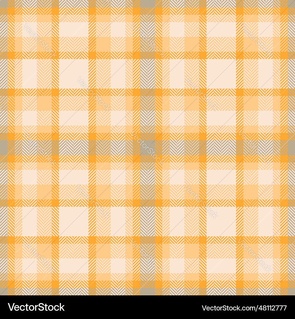 Check plaid background of seamless fabric texture Vector Image