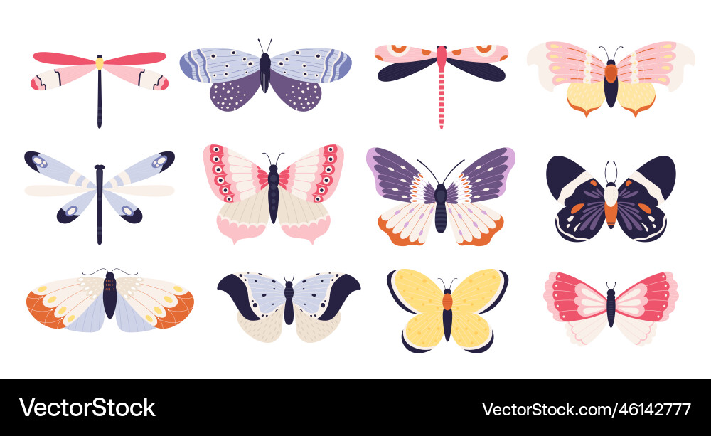 Cute butterflies collection insects with colored Vector Image