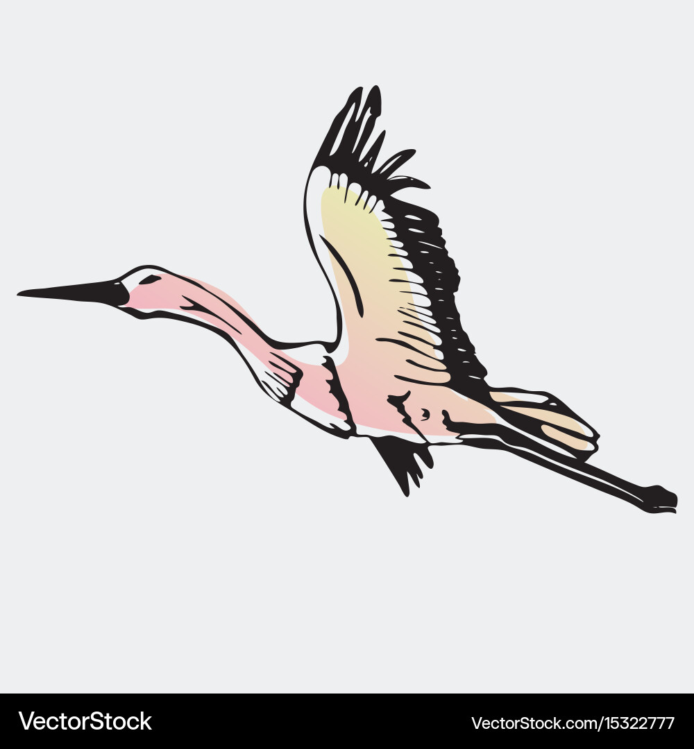 Hand-drawn stork swan engraving stencil Royalty Free Vector