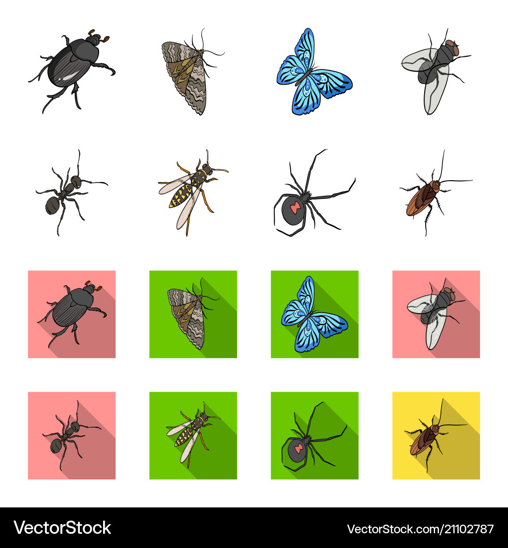 An insect arthropod osa a spider cockroach Vector Image