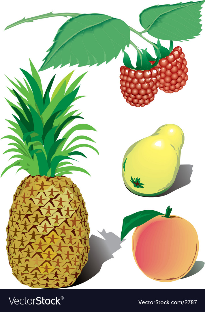 Fruit Royalty Free Vector Image - VectorStock