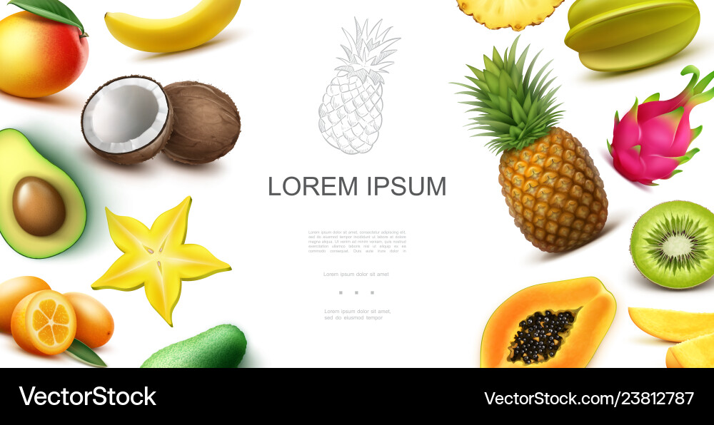Realistic tropical exotic fruits concept Vector Image