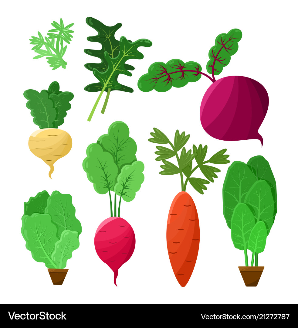 Vitaminic vegetable collection color poster Vector Image