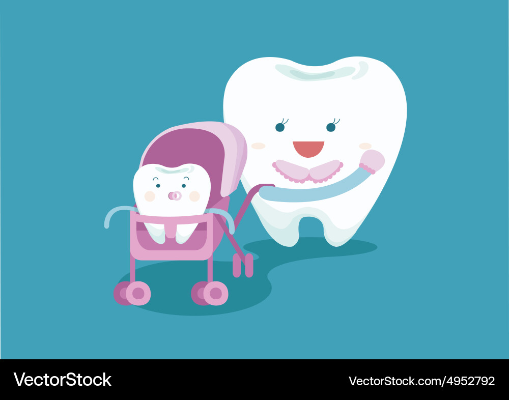 Baby tooth and mom tooth Royalty Free Vector Image
