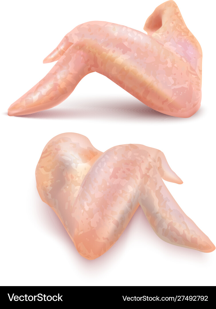 Isolated chicken wings set in realistic style Vector Image