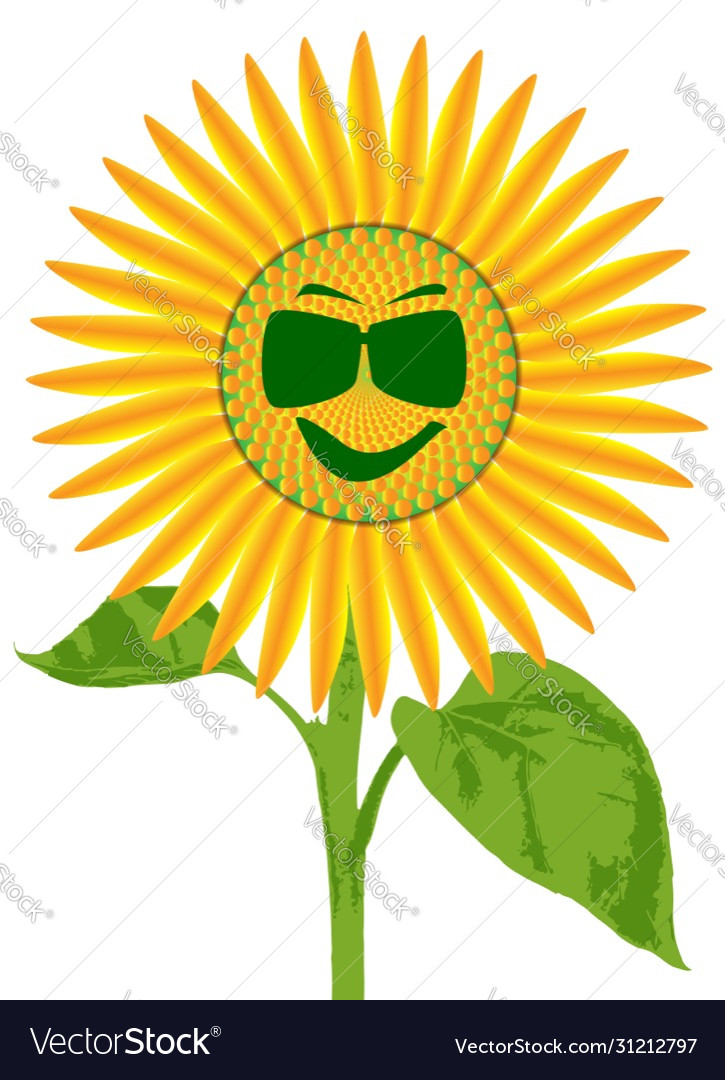 Smiley face giant sunflower Royalty Free Vector Image