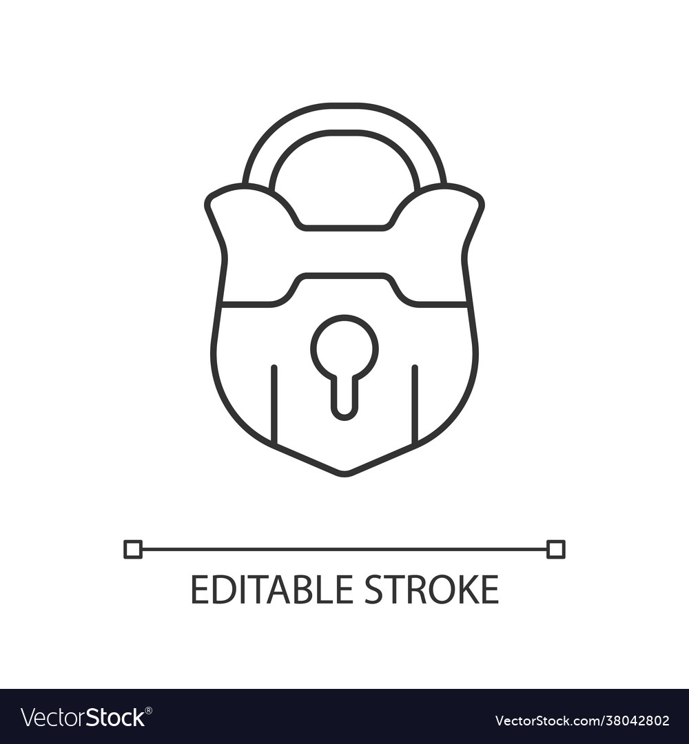 Lock linear icon Royalty Free Vector Image - VectorStock