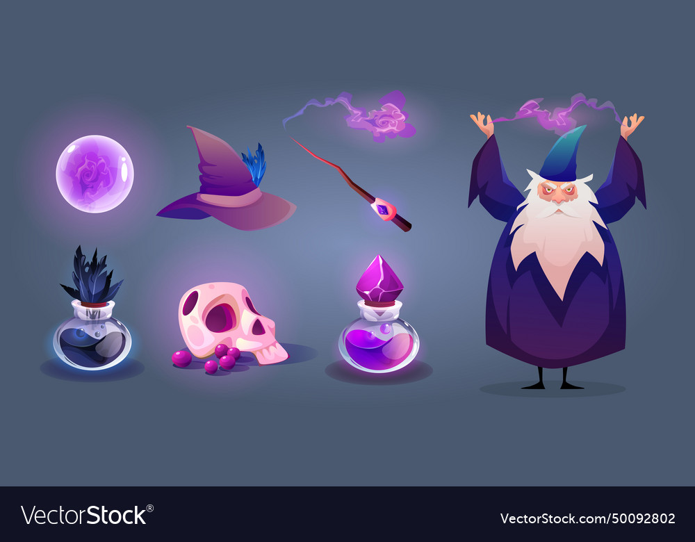 Wizard with magic stuff Royalty Free Vector Image