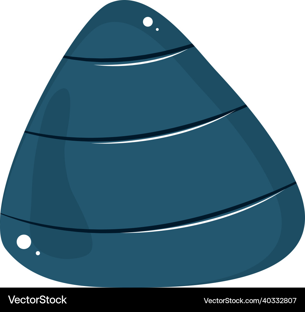 Shell of marine mollusk Royalty Free Vector Image