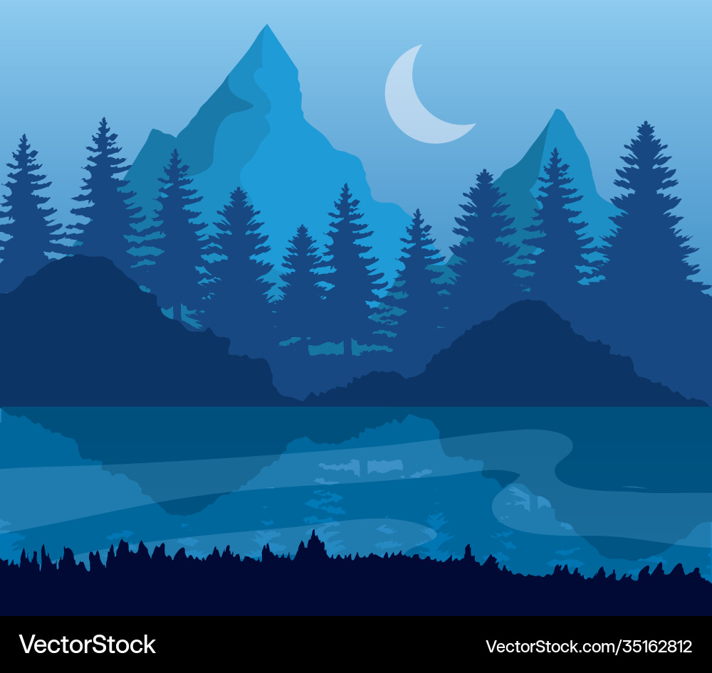 Pine Forest At Night With Moon