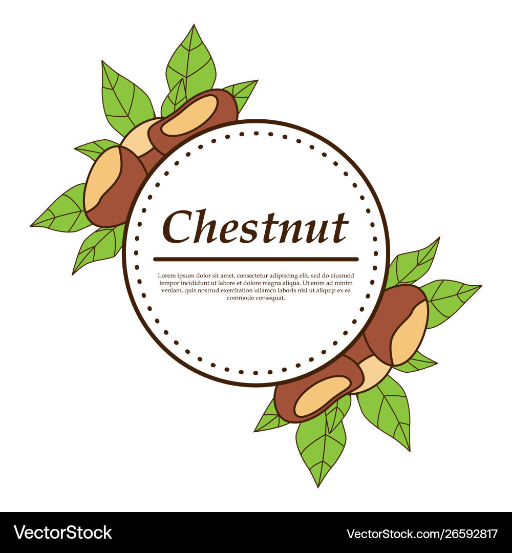 Chestnut logo in cartoon style Royalty Free Vector Image