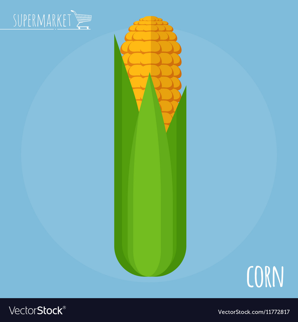 Corn icon Royalty Free Vector Image - VectorStock