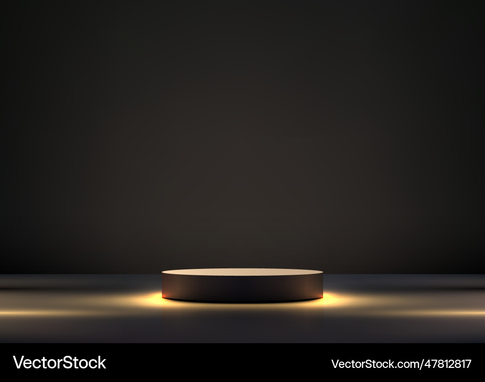 Modern luxury product showcase elegant interior Vector Image