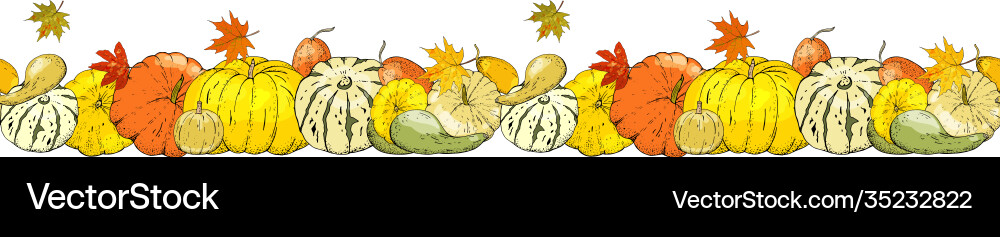 Autumn seamless border isolated on white Vector Image