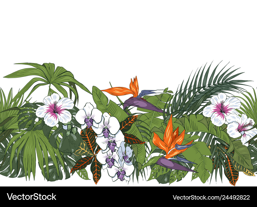 Tropical plants and flowers Royalty Free Vector Image
