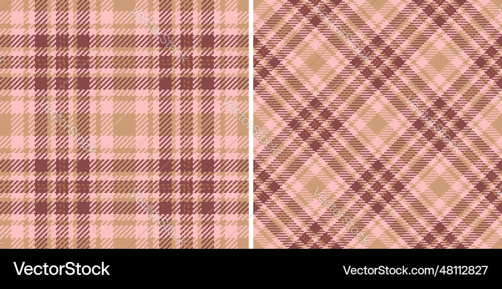 Background textile fabric of check texture with a Vector Image