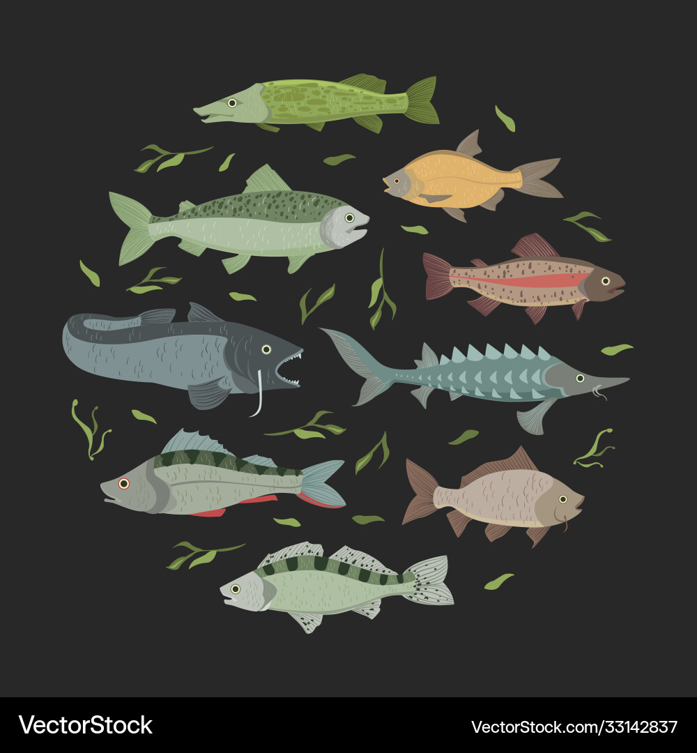 Marine fish banner with fishes pattern round Vector Image