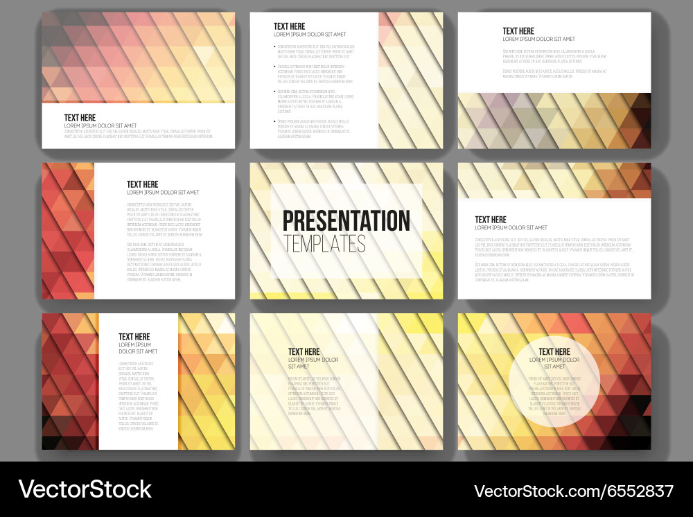 Set of 9 templates for presentation slides Vector Image