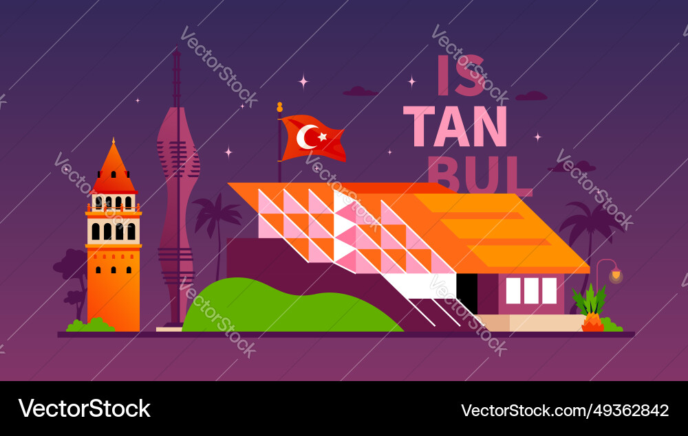 Night architecture of istanbul - modern colored Vector Image