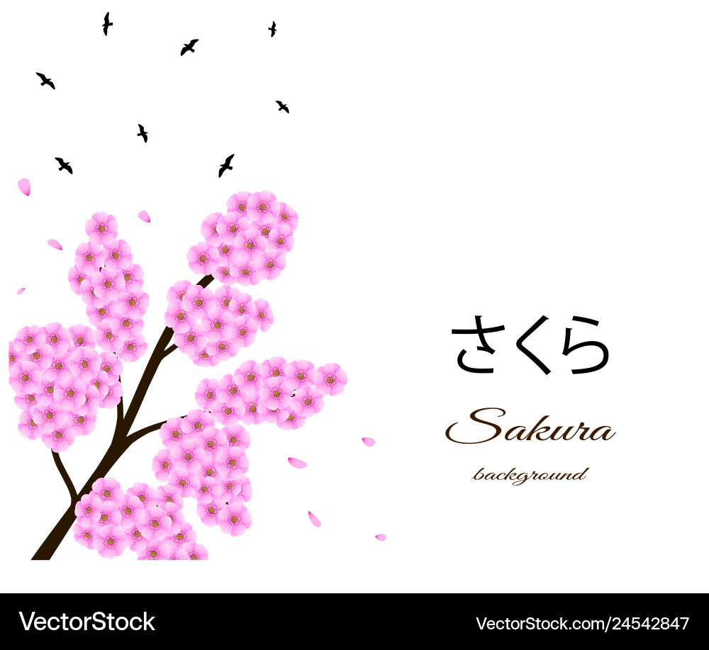 Sakura background with floral tree branch birds Vector Image