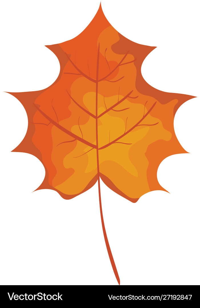 Season autumn leaf isolated icon Royalty Free Vector Image