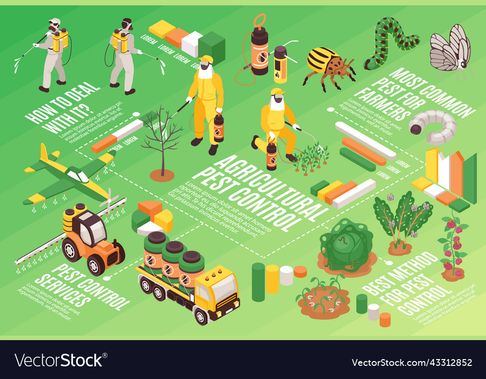 Isometric pest control flowchart Royalty Free Vector Image