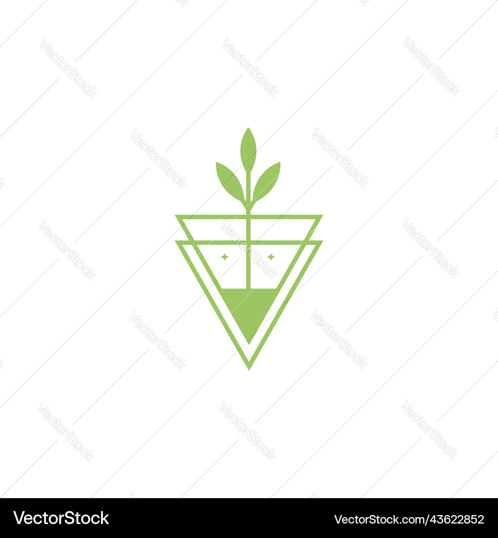 Triangle vase with growth plant logo design Vector Image