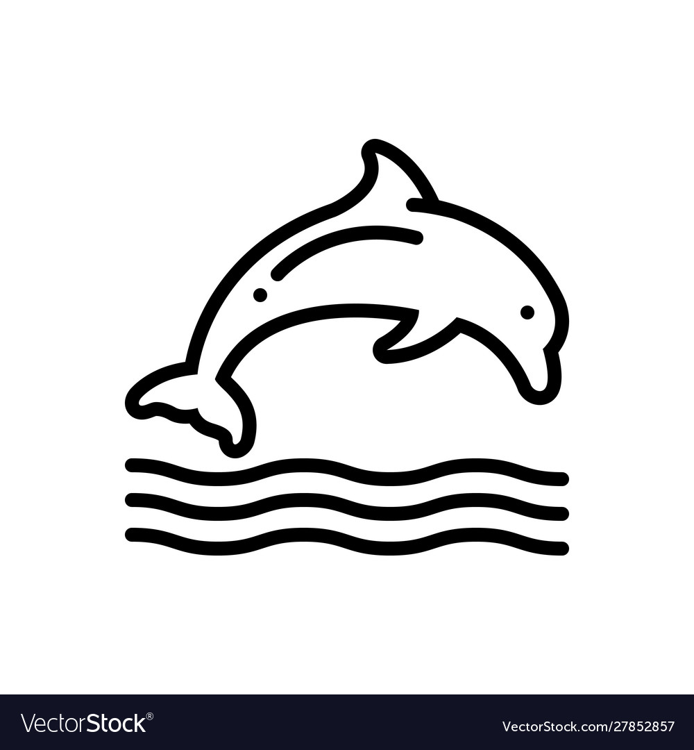 Dolphin Royalty Free Vector Image - VectorStock