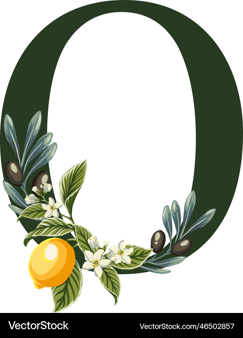 Letter o from alphabet with lemons and olive Vector Image