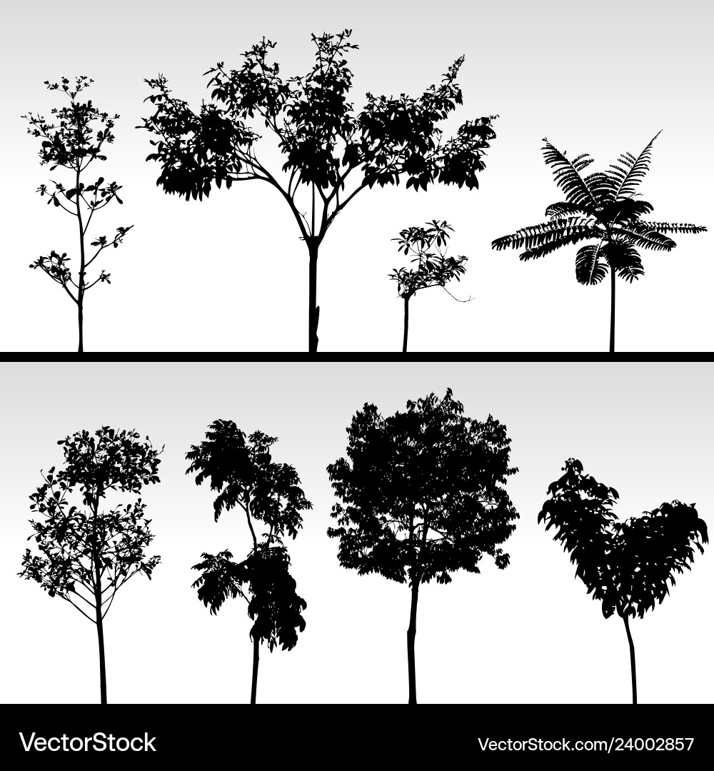 Small tree silhouette scenery artwork of real Vector Image