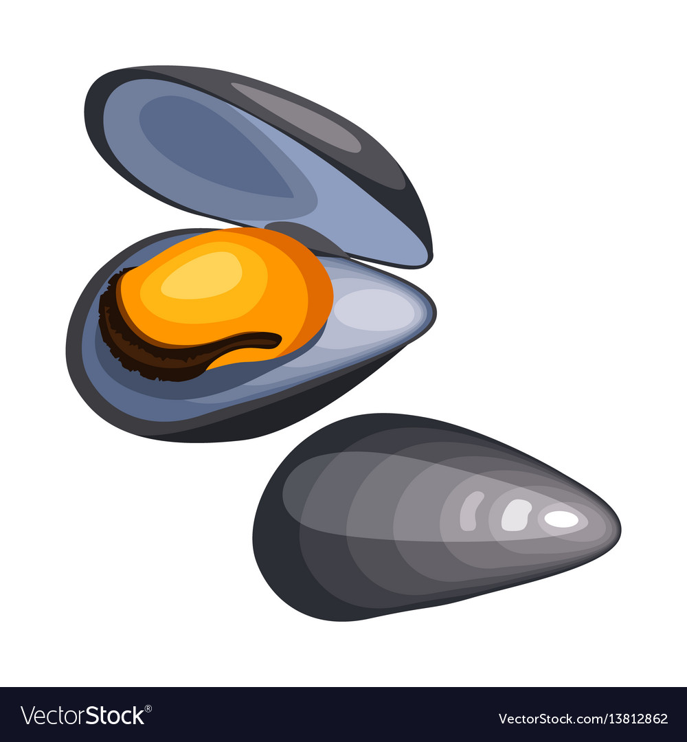 Mussels In Shell Isolated Of Seafood Royalty Free Vector