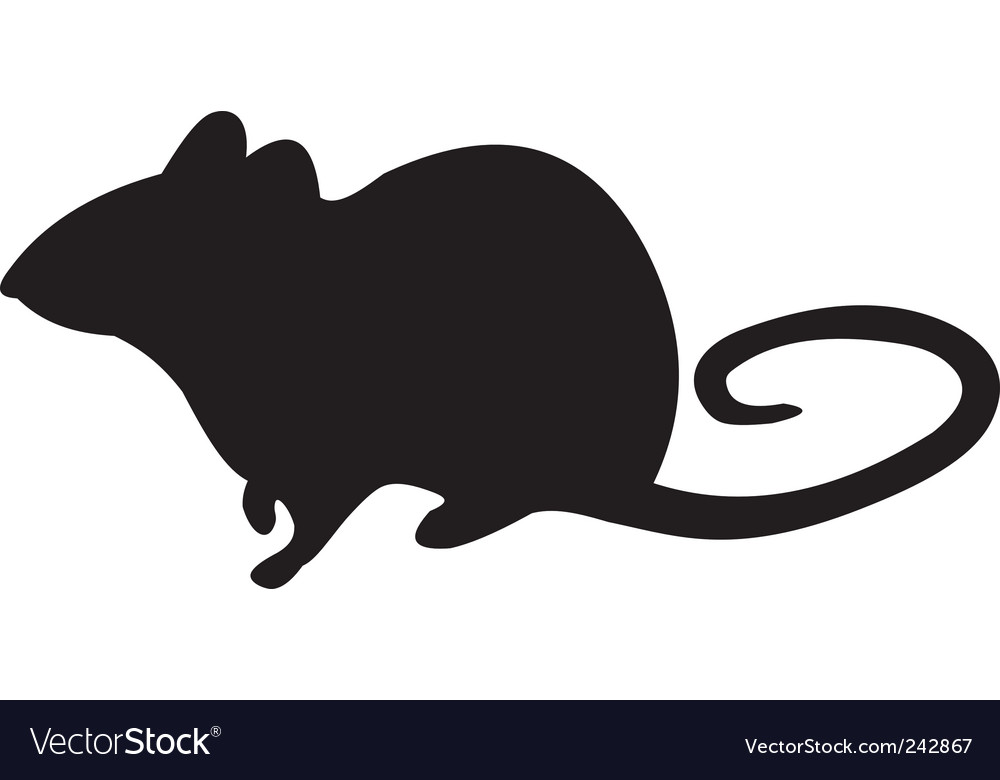 Mouse Royalty Free Vector Image - VectorStock
