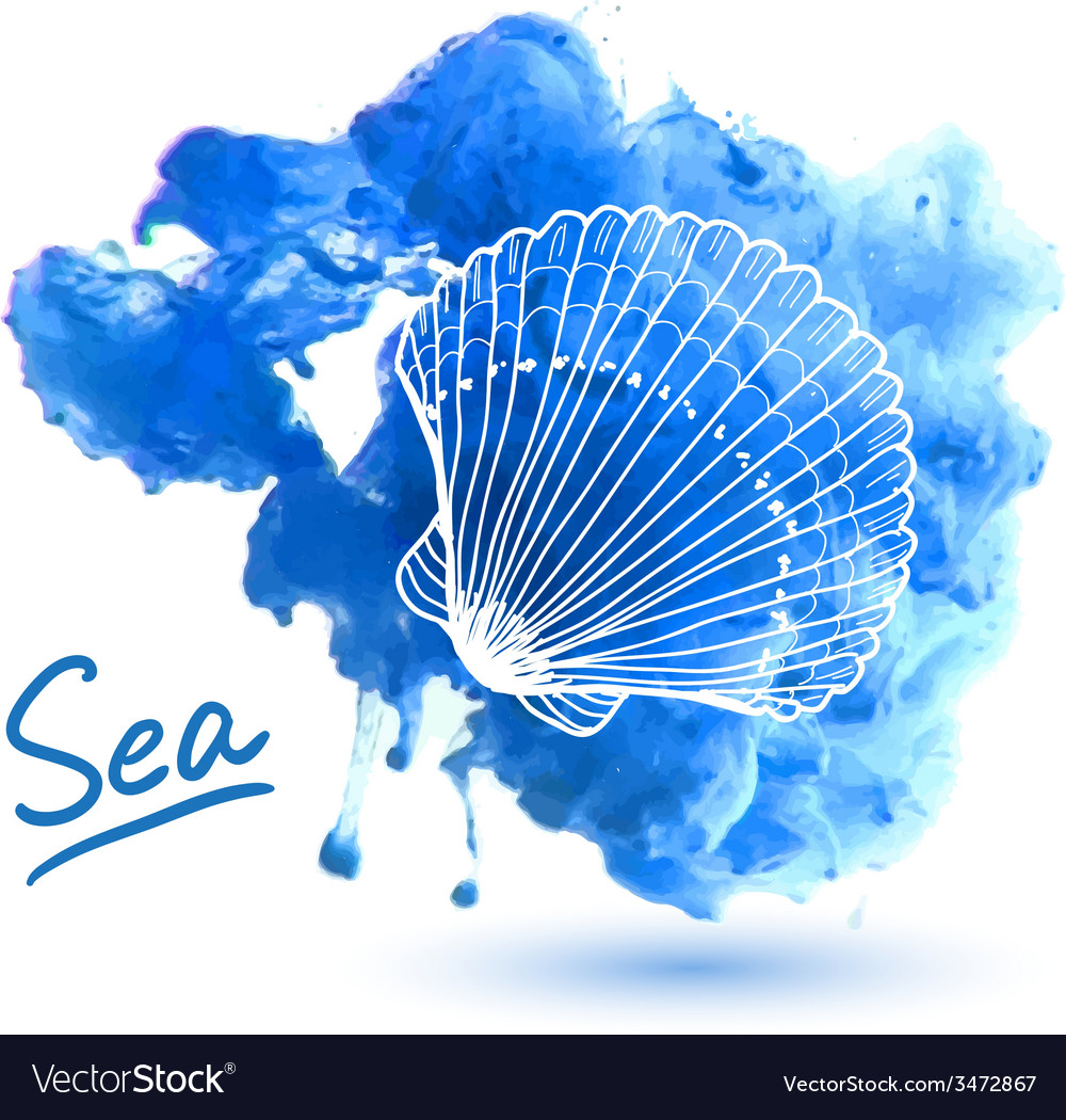 Sea shell Royalty Free Vector Image - VectorStock