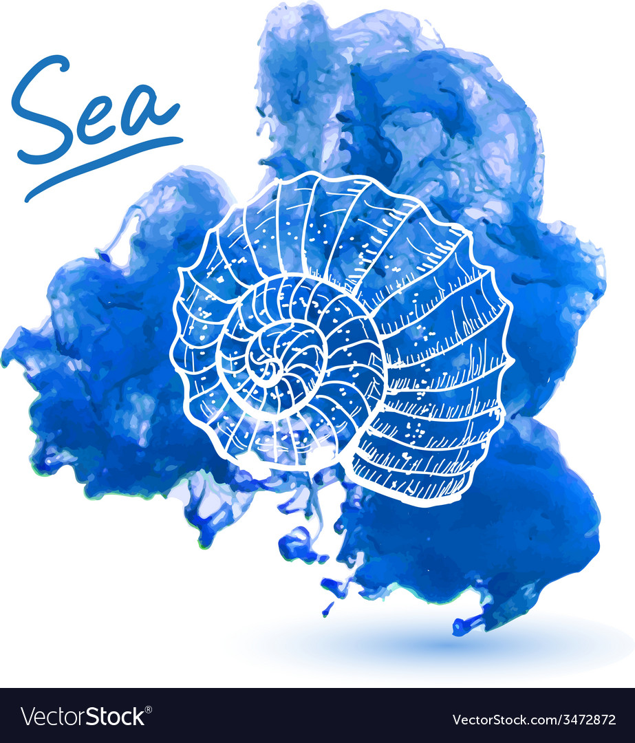 Sea shell Royalty Free Vector Image - VectorStock