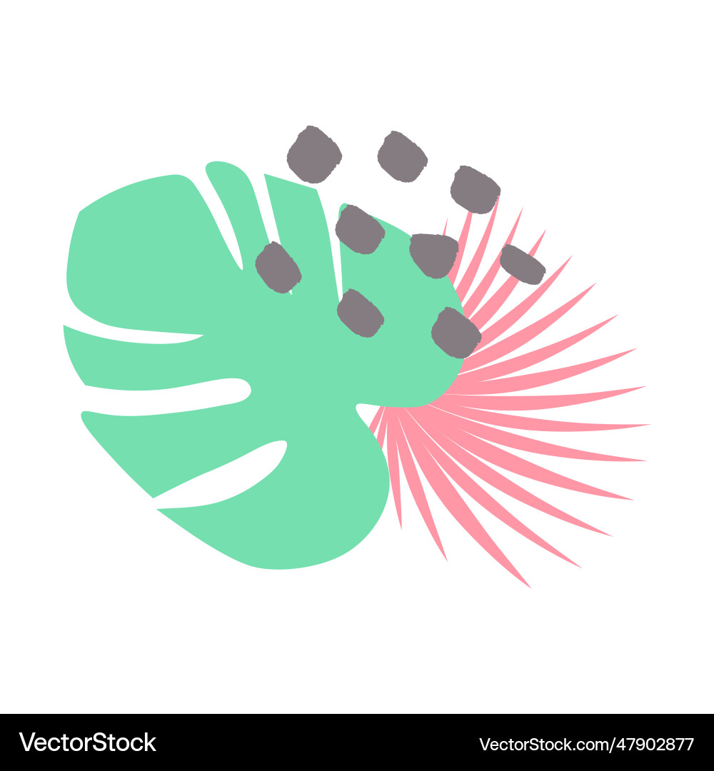 Boho summer vacation and watersport on the beach Vector Image