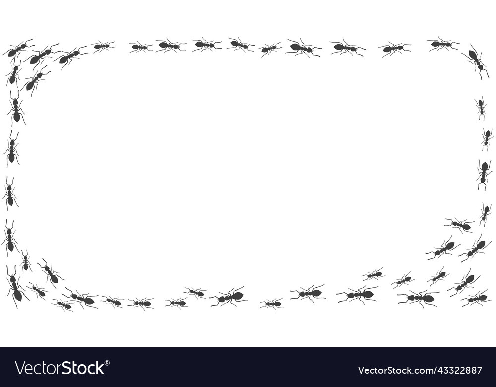 Trail of ants a rectangle frame insects Royalty Free Vector
