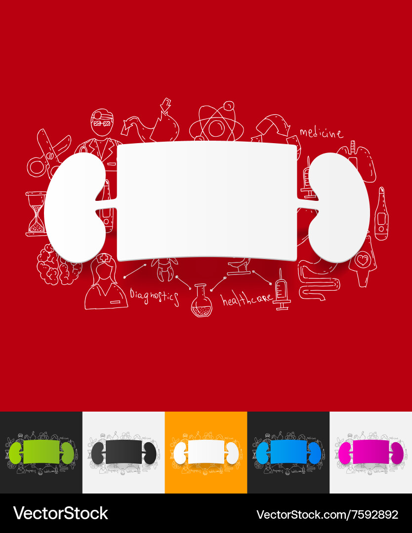 Kidneys paper sticker with hand drawn elements Vector Image