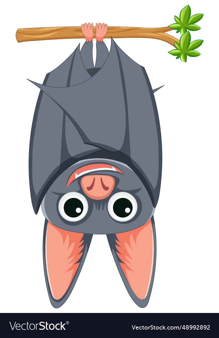 Upside down bat hanging on tree branch Royalty Free Vector