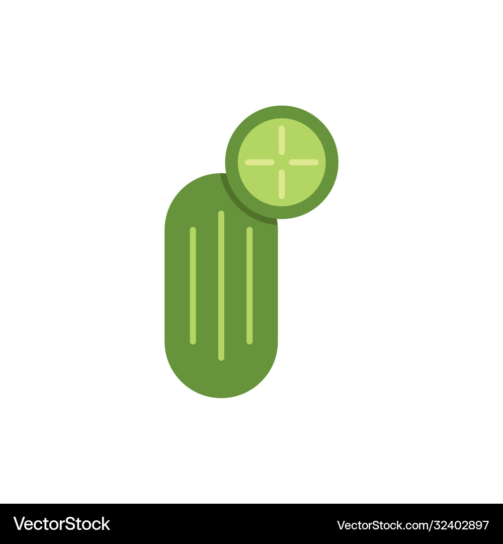 Cucumber slice icon symbol isolated on white Vector Image