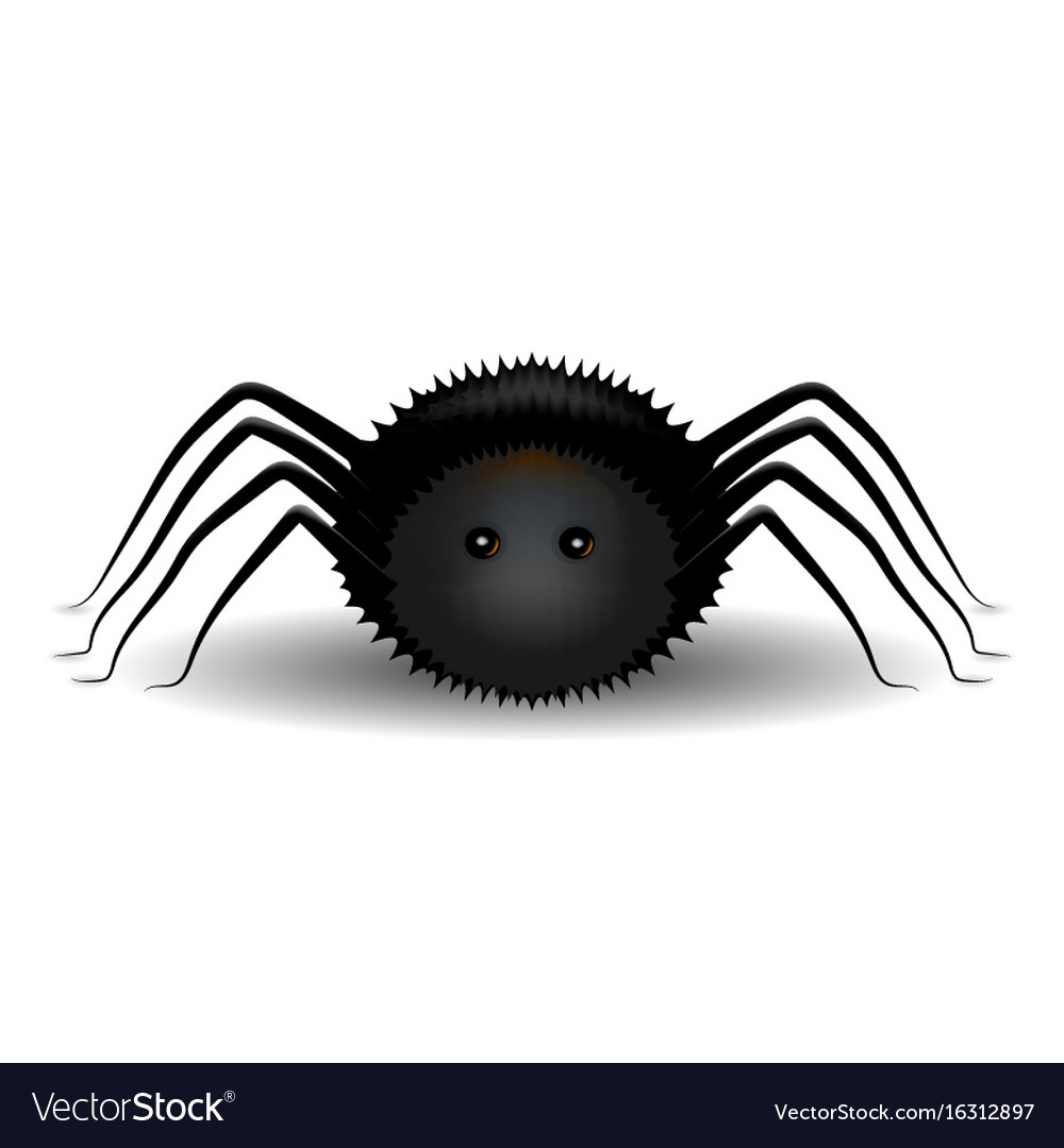 Spider Royalty Free Vector Image - VectorStock