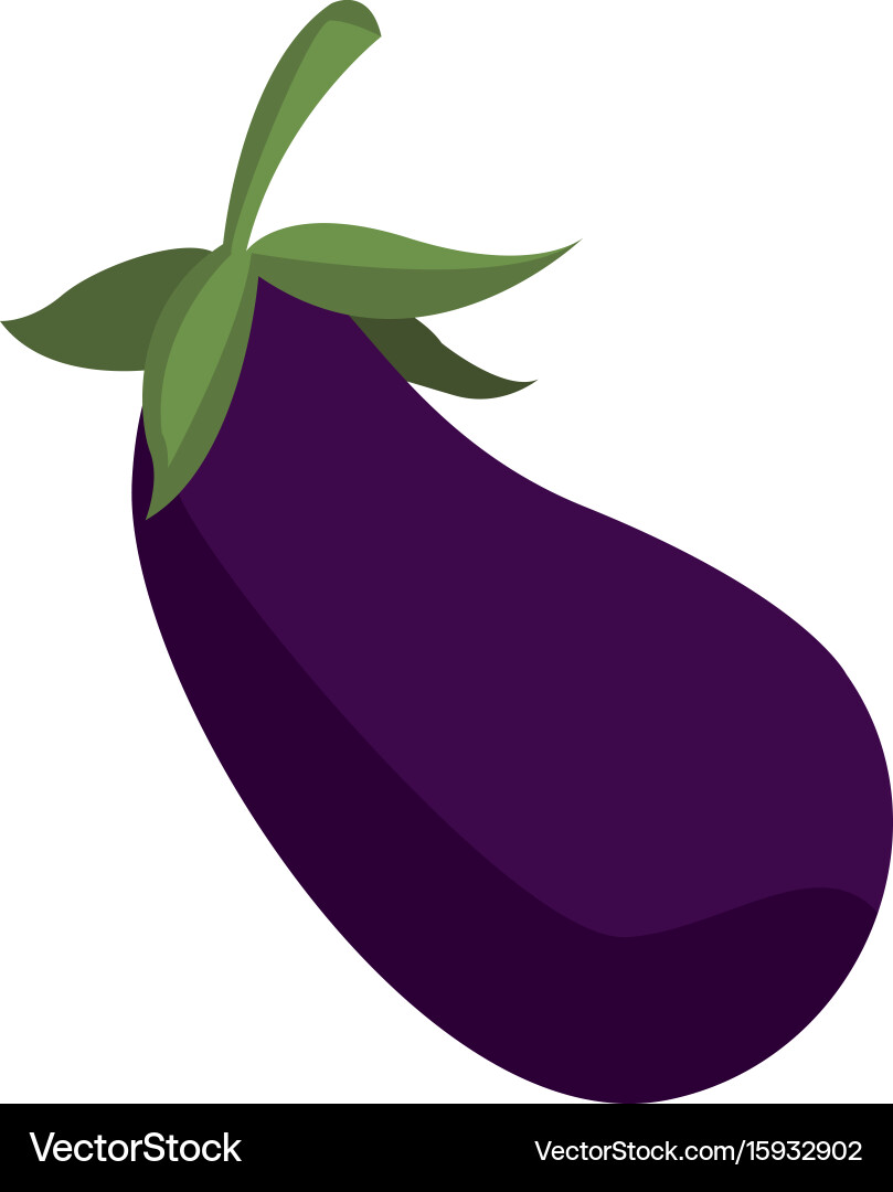 Eggplant vegetable nutrition food diet Royalty Free Vector
