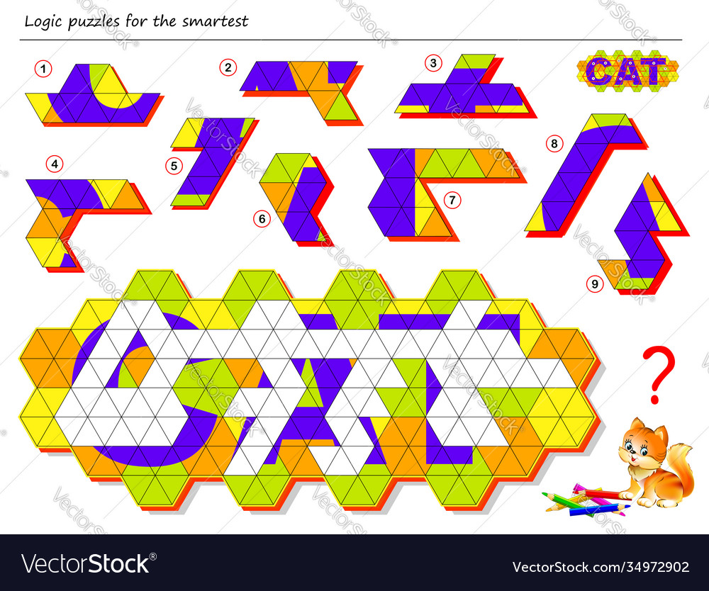 Logic Puzzle Game For Smartest Need To Find Vector Image 