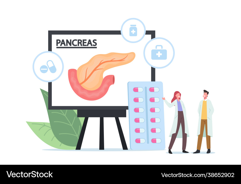 Pancreatitis treatment medical concept tiny Vector Image