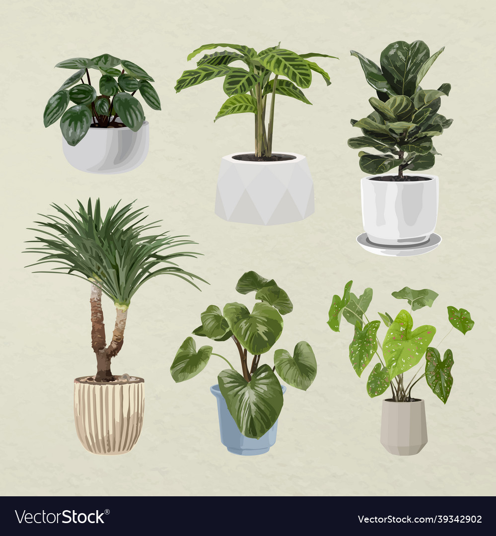 Print Royalty Free Vector Image - VectorStock