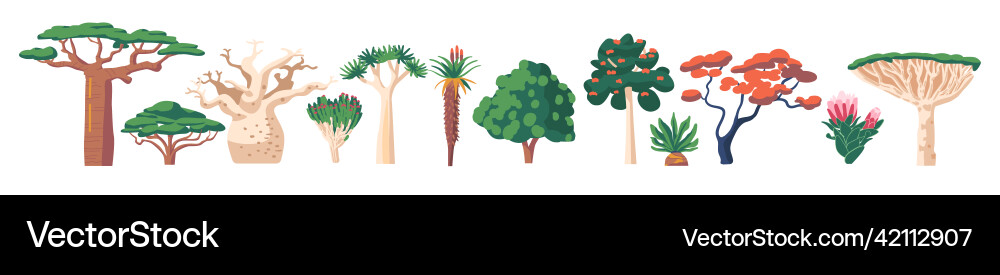 African rainforest vegetation acacia baobab Vector Image