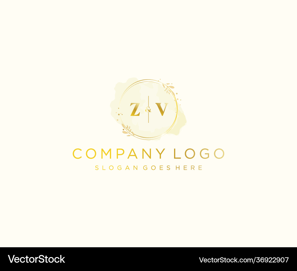 Initial zv letters colorful watercolor splash Vector Image